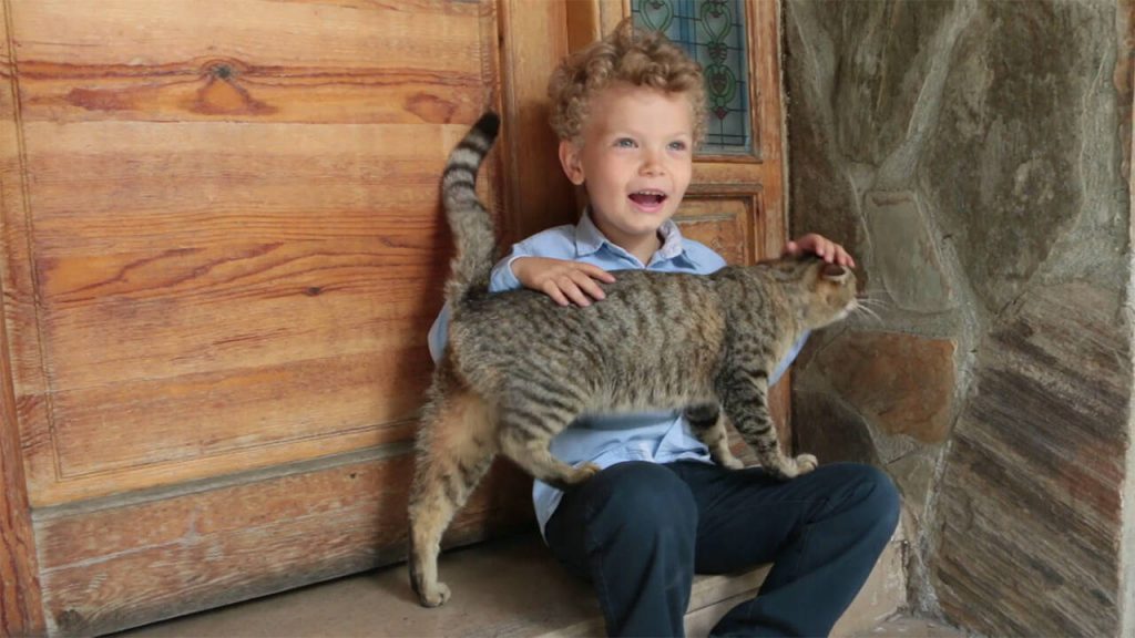 Emre Mete Sönmez: EL NIÑO TURCO QUE SE ROBÓ LOS CORAZONES - Primicia Diario