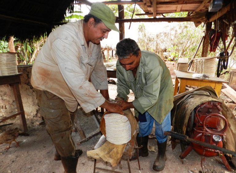 El casabe: LEGADO DE LA CULTURA ABORIGEN DE AMÉRICA LATINA Y EL CARIBE ...